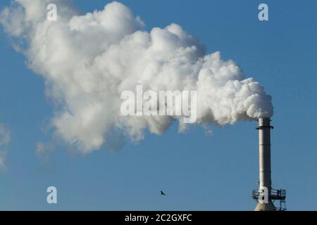 Three Rivers, Texas - The Valero oil refinery, which mainly processes ...