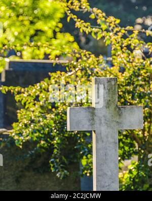 Small Cemetery Park, Montevideo, Uruguay Stock Photo - Alamy