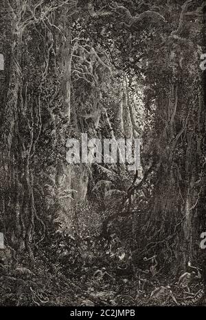 Stanley Congo Jungle Stock Photo - Alamy