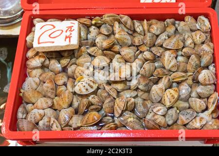 Fresh Clams Shells in Crate at Fish Market Stock Photo - Alamy