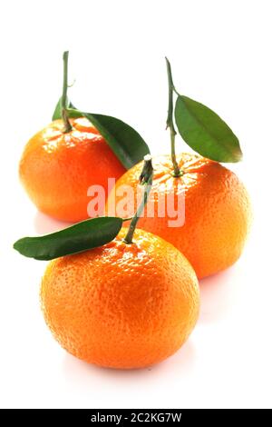 three tangerines isolated on white background Stock Photo - Alamy