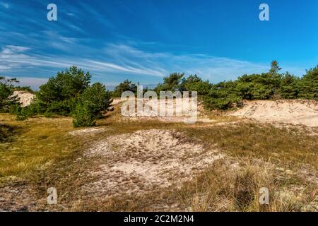 Coastal Landscape on Darss in Germany Stock Photo - Alamy