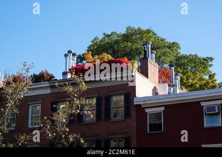 Fall foliage color of Greenwich Village in Lower Manhattan Stock Photo ...