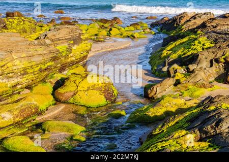 Carisbrook Creek reaches the ocean - Wongarra, Victoria, Australia ...