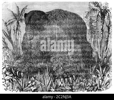 The Pliocene period, vintage engraved illustration. Earth before man ...