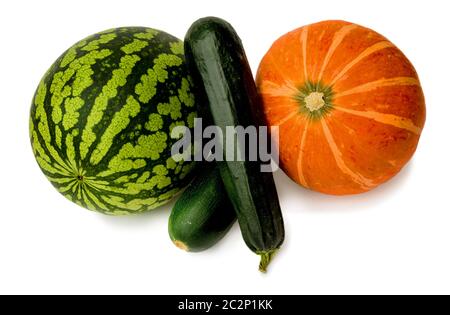 picture with pumpkin, zucchini, watermelon and melon, autumn harvest ...