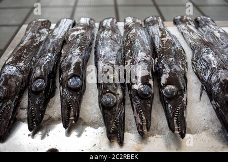 Fresh espada fish on traditional fish market in Funchal at Madeira ...
