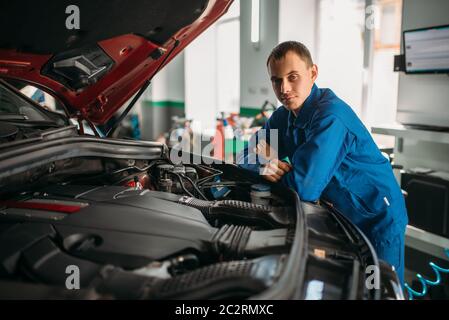 Mechanic makes visual inspection of the car engine, motor diagnostic ...