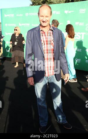 Rob Carlton arrives on the red carpet pictured with Toothless the ...