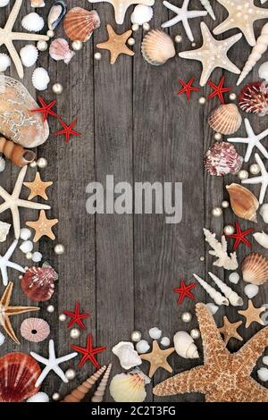 Seashells and pearls background border on rustic mottled blue. Natural ...