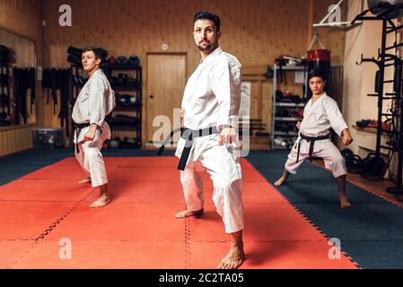 Martial arts karate master and his disciples in white uniform and black ...