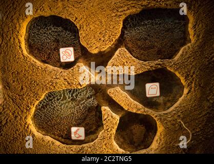 Section of ants colony structure Stock Photo - Alamy