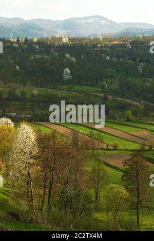 Spring landscape in Maramures, Romania Stock Photo - Alamy