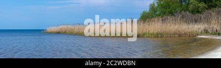 Early spring landscape on Kyiv sea Stock Photo - Alamy