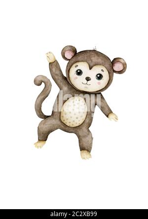 Monkeys climbing coconut tree. A monkey plucking the coconut Stock ...