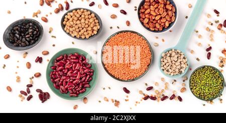 Food panorama, top-down shot. Meat, chicken, salmon and seafood, fruit ...