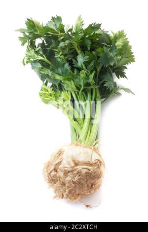 celery bulb isolated on white Stock Photo - Alamy