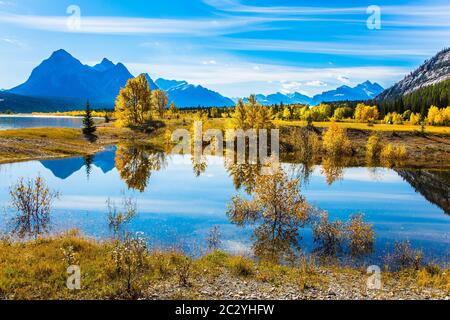 Artificial Abraham lake reflects the golden foliage of aspen and ...