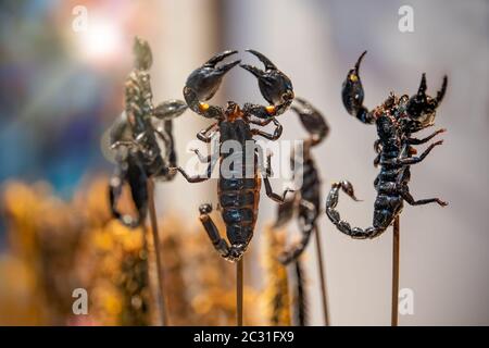 Roasted and fried scorpions on skewers for sale on a street market in ...