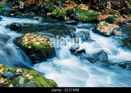 Close up of river, Rocky Brook Falls, Brinnon, Washington, USA Stock ...