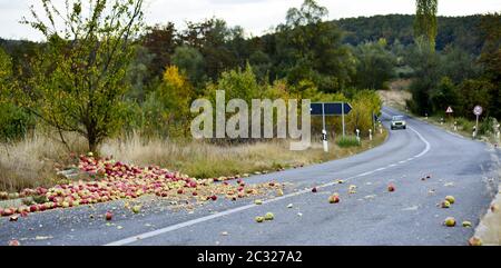 ripe apples spread out on an asphalt road, image of a Stock Photo - Alamy