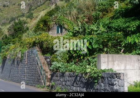 The house and stairs growed with grass at the escarpment Stock Photo ...