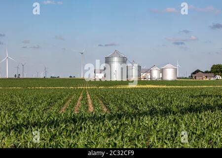 Tall wind turbines on farmland alongside a canal in evening light. No ...