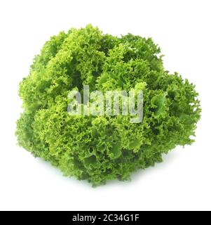 A lollo bionda lettuce on a white background Stock Photo - Alamy