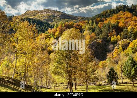 color of autumn at the mountain (french Pyrenees Stock Photo - Alamy