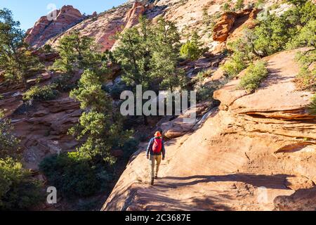 Hike in Utah Stock Photo - Alamy