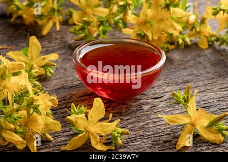 Red oil made from St. John's wort flowers in a glass bowl, top view ...