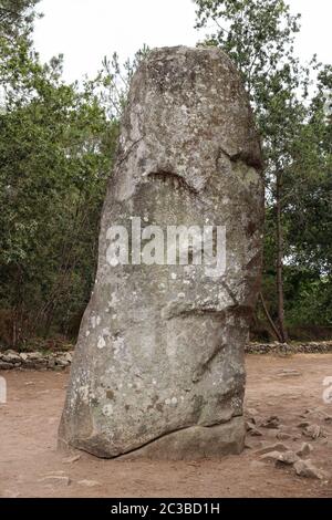 Geant du Manio - Giant of Manio - the largest menhir in Carnac Stock ...