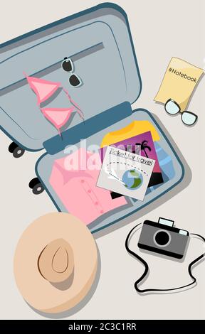 Travel the world luggage and hat with camera vector illustration ...