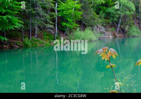View on autumn park woth pond, fence and colorful plants Stock Photo ...