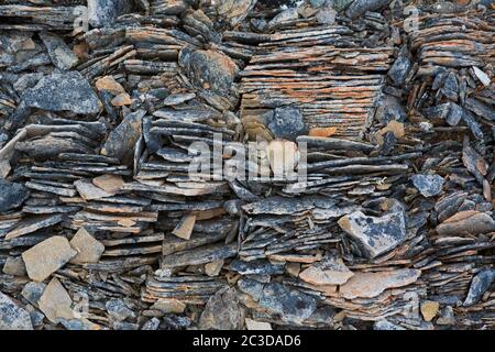 Close-up of shattered sedimentary rock, slate / shale fractured along ...