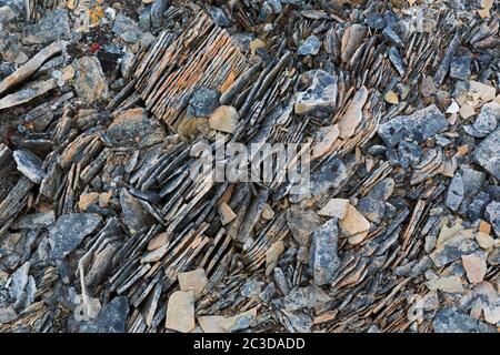 Close-up of shattered sedimentary rock, slate / shale fractured along ...