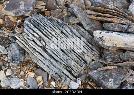 Close-up of shattered sedimentary rock, slate / shale fractured along ...