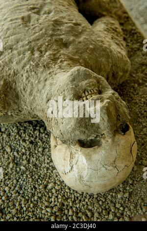 Plaster cast of a victim of the volcanic eruption in Pompeii near ...