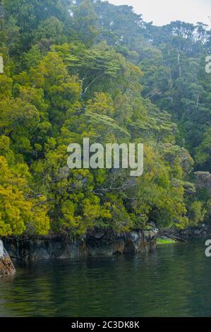 Fjordland National Park, Dusky Sound, New Zealand South Island Stock ...