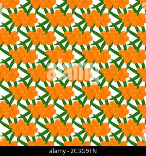 Theme big colored seamless sea buckthorn, bright berry pattern for seal ...