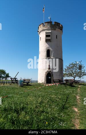 Historic watchtower in the vineyards near Nierstein Stock Photo - Alamy