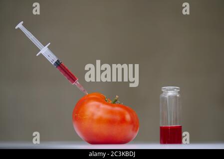 Process of injection of some substances into a fresh red tomato Stock ...