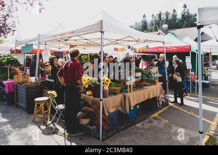 the Saturday Market, Salt Spring Island, British Columbia, Canada Stock ...