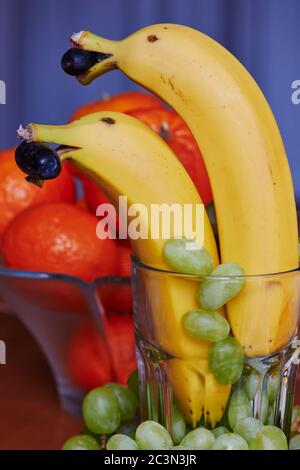 Bananas as dolphins with a dark grape in the mouth and green grapes and ...