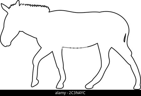 isolated contour of donkeys, sketch Stock Vector Image & Art - Alamy