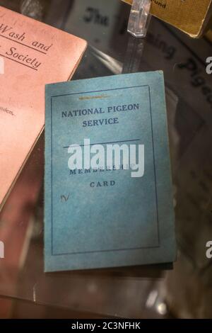 National Trust membership card on white background, UK Stock Photo - Alamy