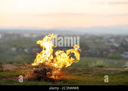 Big bright bonfire bugning at field in evening Stock Photo - Alamy