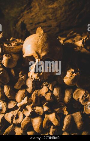 Vertical closeup shot of the skulls under the lights in the Catacombs ...