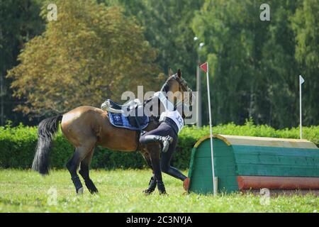 A female rider falling from a horse or pony after refusing a jump ...