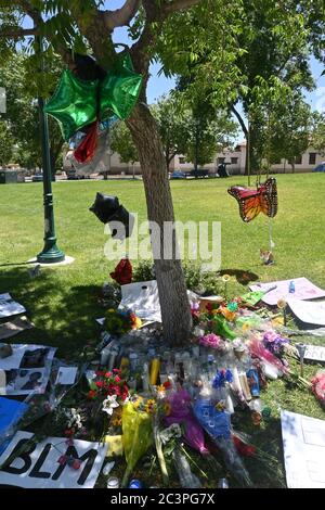 An African American man hanged from a tree in the southern states of ...